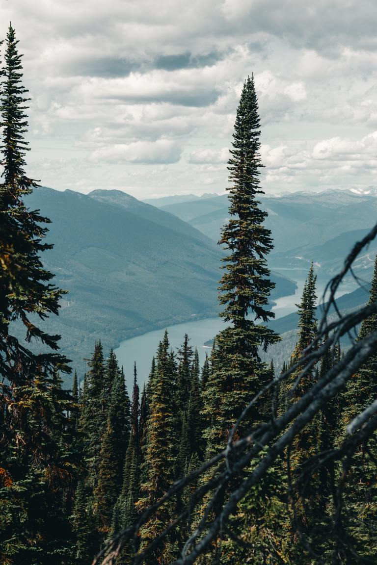 Team – Canadian Shield Capital